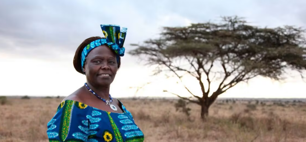 Green Warrior of Kenya - Wangari Maathai - KenteTV